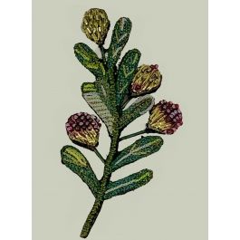 Embroidered Olive Branch Pin - Dumbarton Oaks Museum Shop