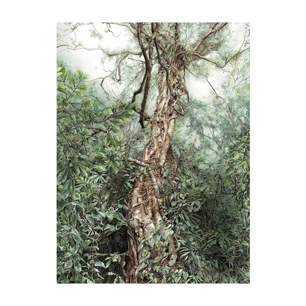 Western Ghats Plants